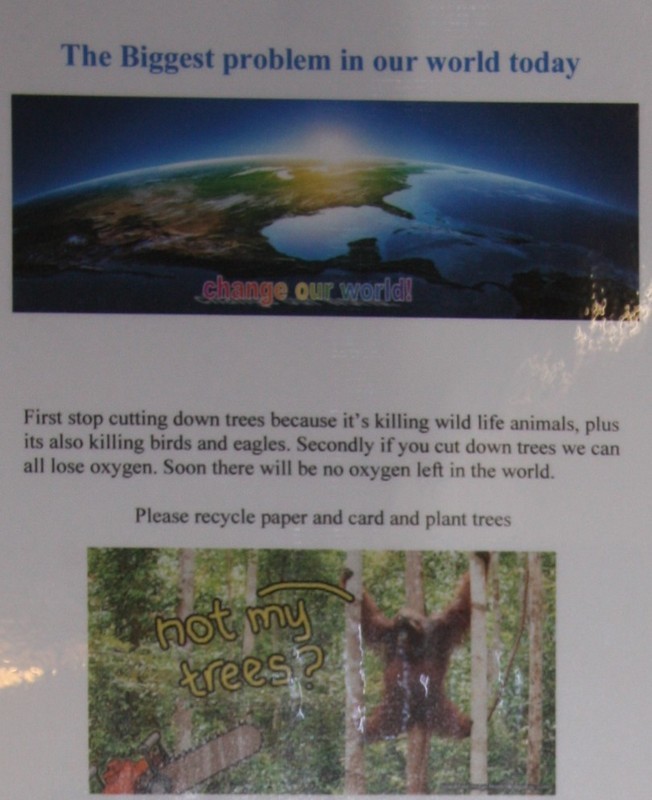Changing Our World – Children’s Posters – St Mark's CofE Primary School