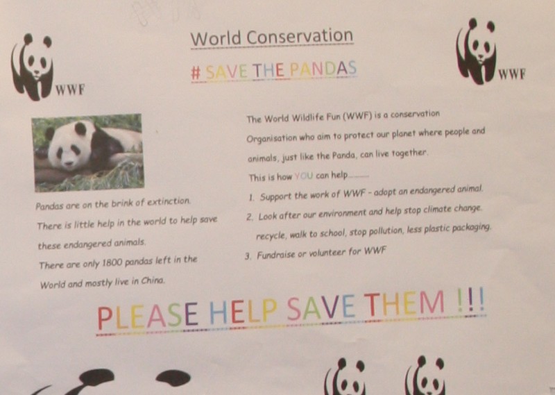 Changing Our World – Children’s Posters – St Mark's CofE Primary School