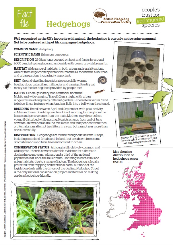 Year 3 – Thursday 19th March – St Mark's CofE Primary School