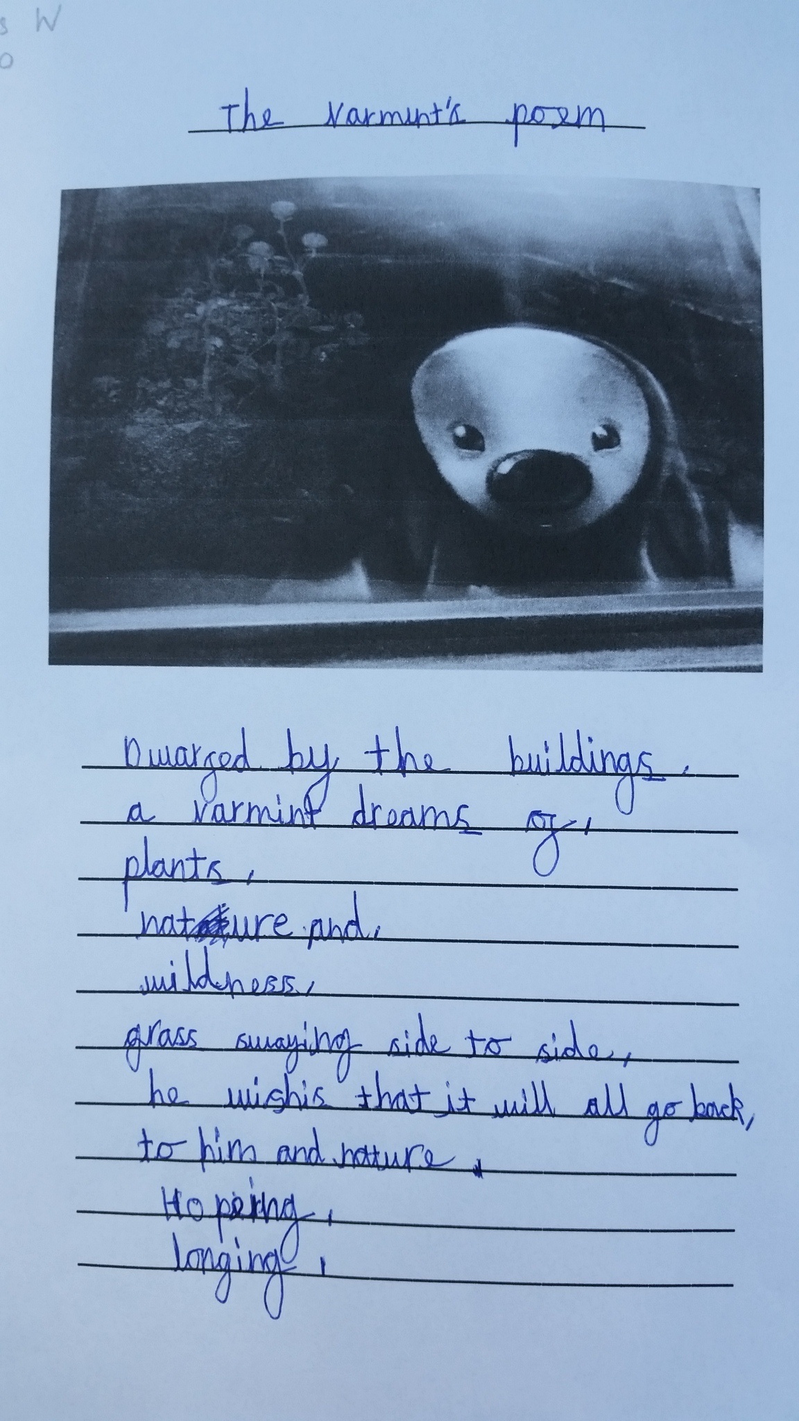 Year 3 Week Beginning 4th May – St Mark's CofE Primary School