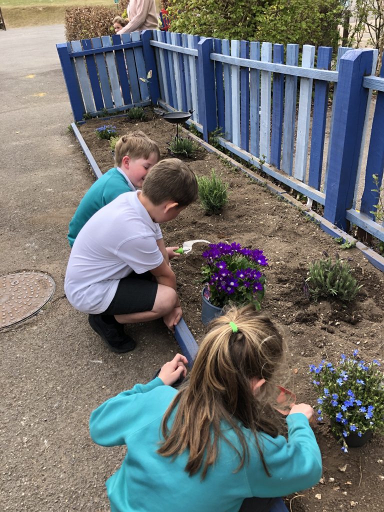 Year 2 Garden and Project Fun – St Mark's CofE Primary School