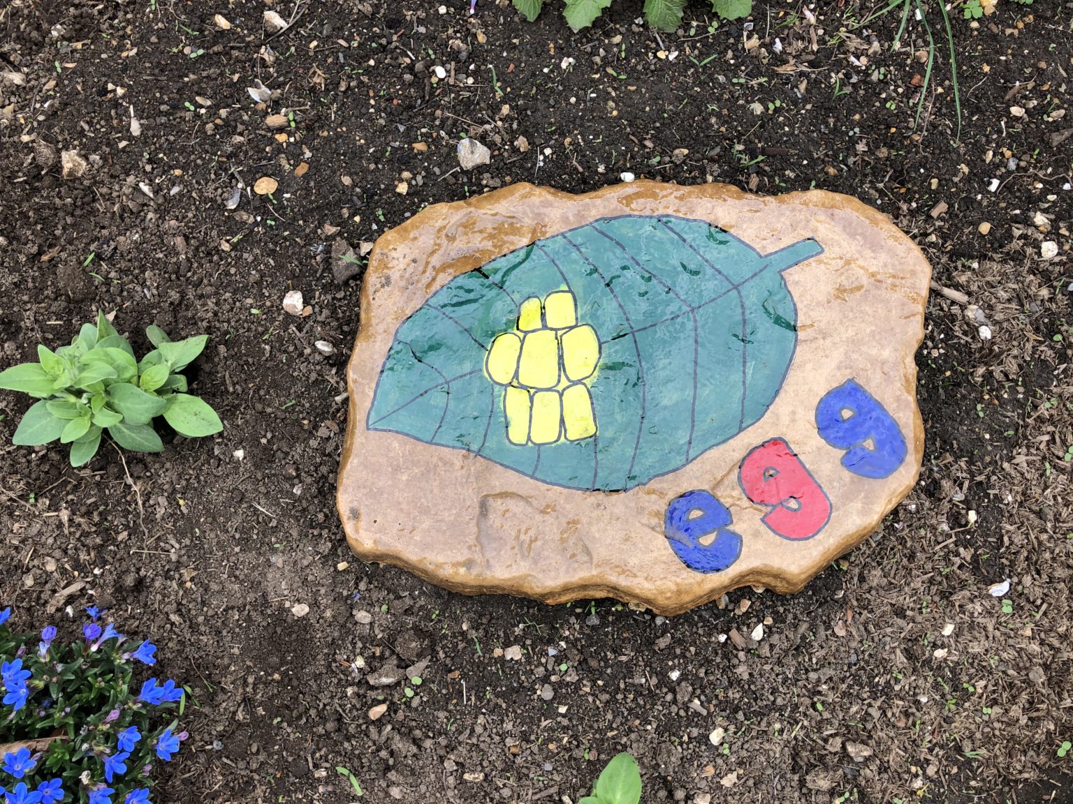 Year 2 Garden and Project Fun – St Mark's CofE Primary School