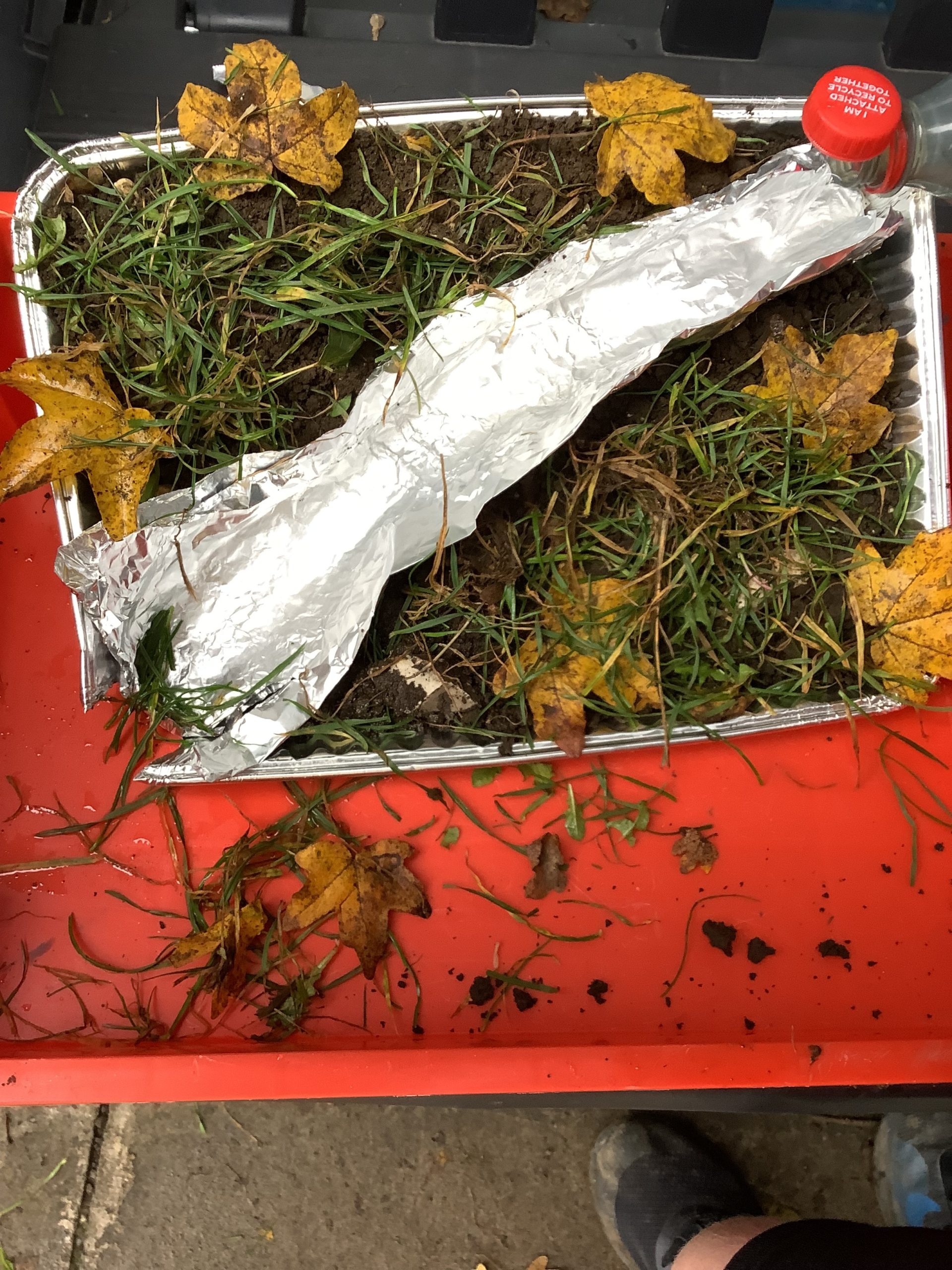 Year 4 – Raging Rivers Hook – St Mark's CofE Primary School